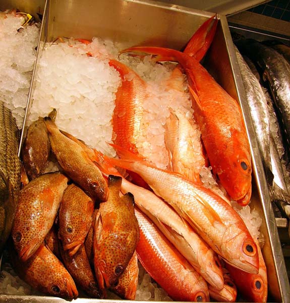 Montes Seafood Emporium wholesale seafood dealer and distributor ...