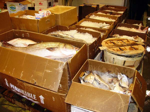 Montes Seafood Emporium wholesale seafood dealer and distributor ...