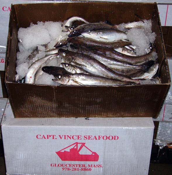 Montes Seafood Emporium wholesale seafood dealer and distributor ...