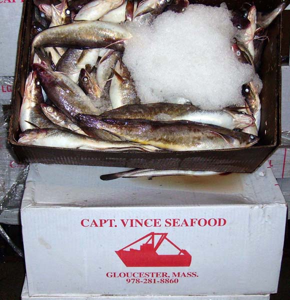 Montes Seafood Emporium wholesale seafood dealer and distributor ...