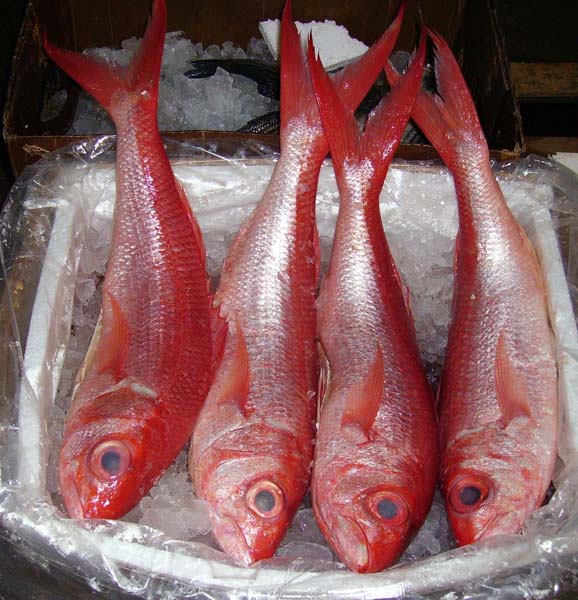 Montes Seafood Emporium wholesale seafood dealer and distributor ...